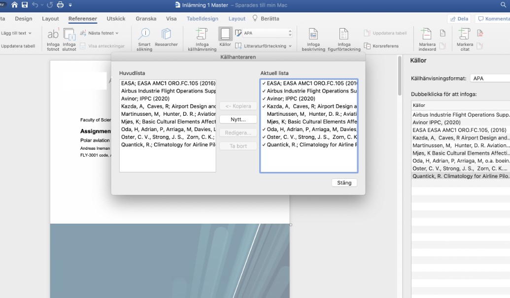 Microsoft Word for Mac: Expert Tips and Tricks for 2024 - bioarmortech